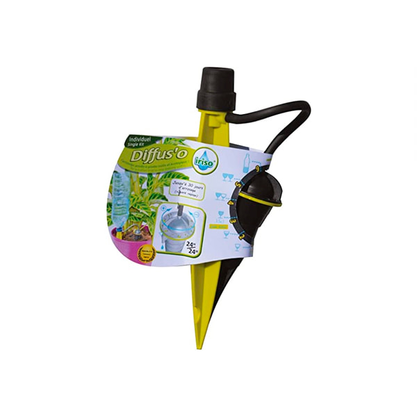 Guía de cuidados de la azalea: lo que sí y lo que no